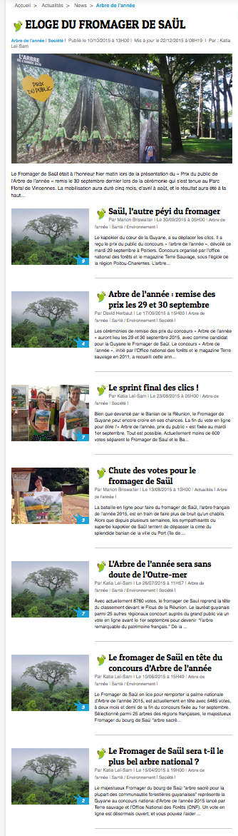 Le fromager de Saül, Arbre de l'année 2015 | Parc amazonien de Guyane