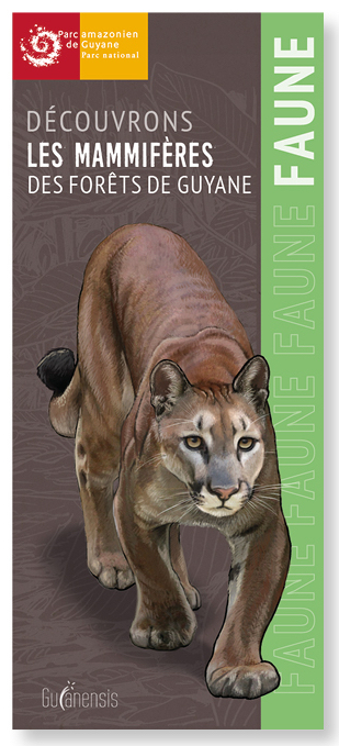 Les Essentiels de Guianensis, des plaquettes pour identifier la faune ...