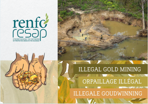 Renforesap - Illegal gold mining / Orpaillage illégal / Illegale ...