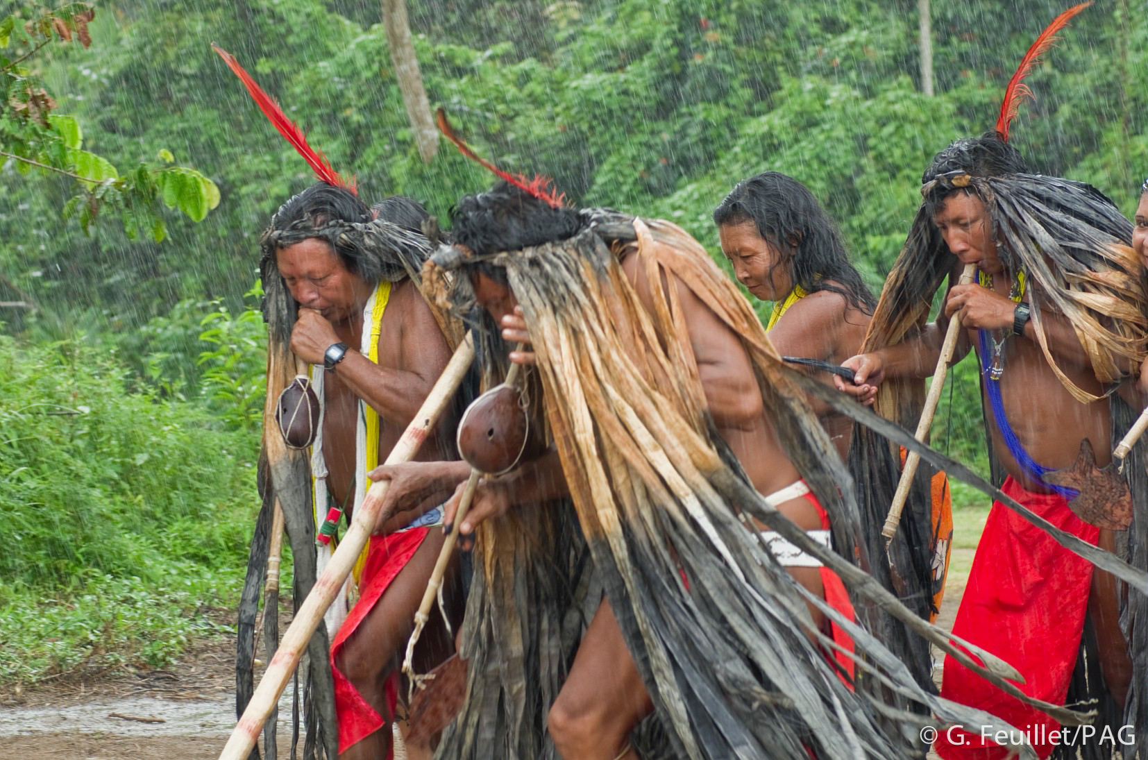 Cultures et traditions | Parc amazonien de Guyane Cultures et traditions | Parc amazonien de Guyane